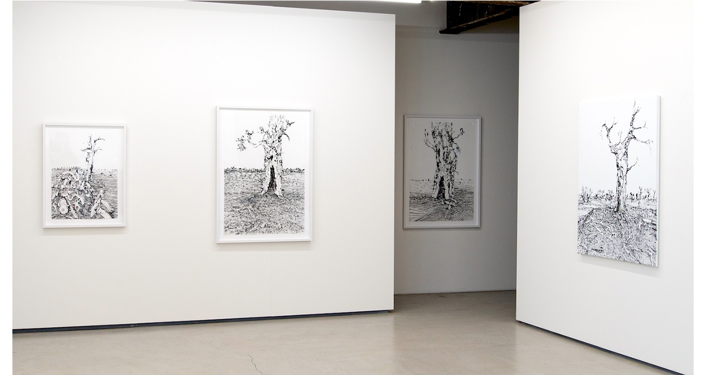 John R Walker Tree Song | Exhibition | Utopia Art Sydney